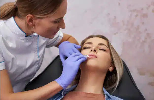 Hollywood - The Curee